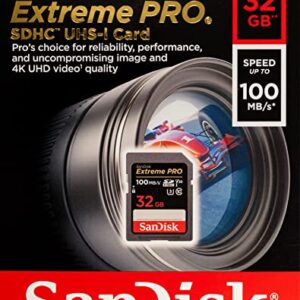 SanDisk 32GB (Ten Pack) SD HC Extreme Pro Memory Card for Digital DSLR Camera SDHC 4K V30 UHS-I (SDSDXXG-032G-GN4IN) with Everything But Stromboli (TM) 3.0 SD/TF Reader