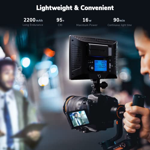 Camera Light, Dazzne D20 Video Light Panel with DC Adapter and Rechargeable Battery via USB-C Directly, Bi-Color 3200K-5600k DSLR Light for Canon/Nikon/Samsung/Olympus and Portrait Photography