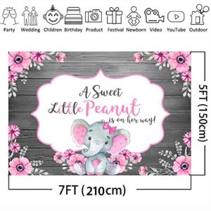 Avezano Little Peanut Backdrop for Girls Baby Shower Party Background Pink Elephant and Floral Backdrops A Little Peanut is On The Way Baby Shower Supplies (7x5ft, Pink)