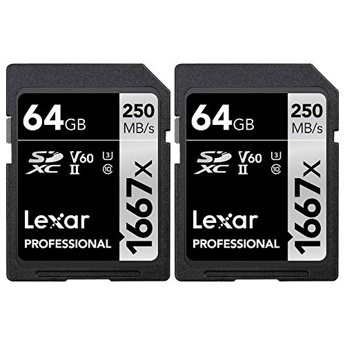 Lexar Professional 64GB 1667x UHS-II SDXC Memory Card (2-Pack)