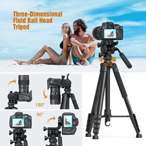 Smvchen 74.8"Camera Tripod with Fluid Head Phone Clip 2 Quick Release Plate 3 Metal Feet for DSLR Camera Video Camera Panoramic Camera Sports Camera Projectors Telescopes and Iphone14 Max Load 11 Lbs