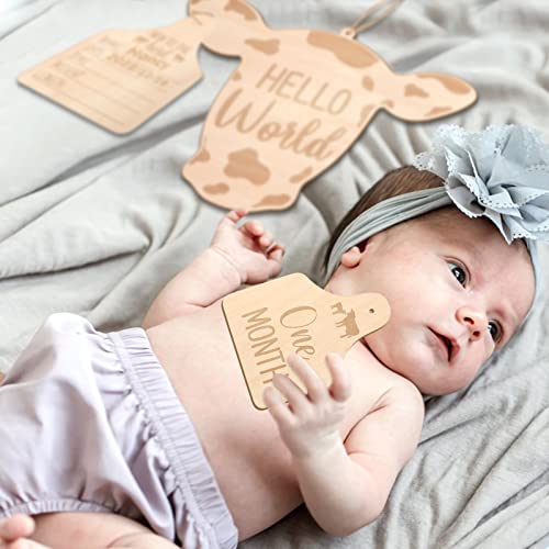 Huray Rayho Cow Baby Monthly Milestone Cards Rustic Wooden Herd Cattle Newborn Photography Props to Record Your Baby´s Growth, Gift Set of 14 Reversible Cards for Pregnancy and Baby Shower