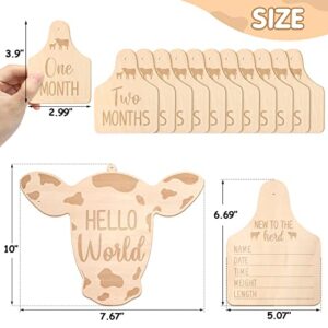 Huray Rayho Cow Baby Monthly Milestone Cards Rustic Wooden Herd Cattle Newborn Photography Props to Record Your Baby´s Growth, Gift Set of 14 Reversible Cards for Pregnancy and Baby Shower