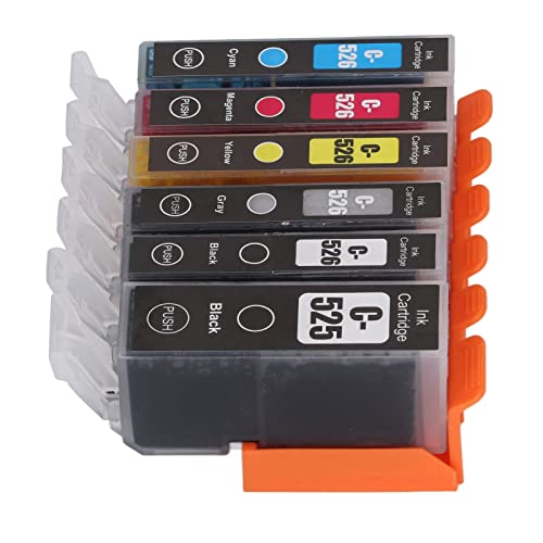 Fafeicy Printer Cartridge Ink Cartridge with Ink for PIXMA IP4850/IP4950 IX6550 MG5150/MG5250 (BK BK C M Y GY 6 Colors)