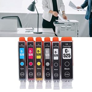 Fafeicy Printer Cartridge Ink Cartridge with Ink for PIXMA IP4850/IP4950 IX6550 MG5150/MG5250 (BK BK C M Y GY 6 Colors)