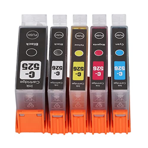 Fafeicy Printer Cartridge Ink Cartridge with Ink for PIXMA IP4850/IP4950 IX6550 MG5150/MG5250 (BK BK C M Y 5 Colors)