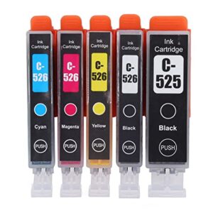 Fafeicy Printer Cartridge Ink Cartridge with Ink for PIXMA IP4850/IP4950 IX6550 MG5150/MG5250 (BK BK C M Y 5 Colors)