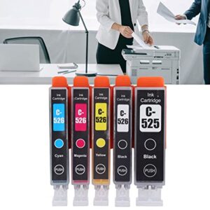 Fafeicy Printer Cartridge Ink Cartridge with Ink for PIXMA IP4850/IP4950 IX6550 MG5150/MG5250 (BK BK C M Y 5 Colors)