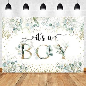 Mocsicka It's a Boy Backdrop Boy Baby Shower Greenery Eucalyptus Baby Shower Party Decorations Banner 7x5ft Summer Green Leaves Boy Baby Shower Photography Background