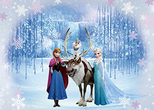 Frozen Ice World Princess Backdrop Winter Frozen Birthday Party Decoration Winter Children Photography Backdrop (8x6FT)