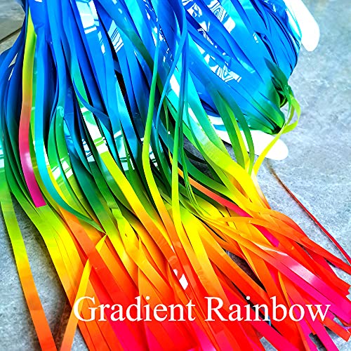 Rainbow Foil Fringe Curtain Backdrop Tinsel Photo Booth Props for Birthday Gay Pride Day Circus Bachelorette Wedding Engagement Bridal Shower Baby Shower Happy New Year Party Decorations - 2 Packs