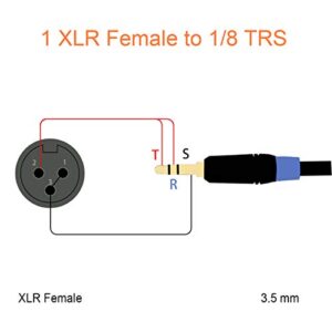 tisino XLR to 3.5mm Microphone Cable, XLR Female to 1/8 inch Mic Cord for Camcorders, DSLR Cameras, Computer Recording Device, and More - 3.3 feet