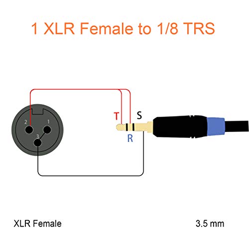 tisino XLR to 3.5mm Microphone Cable, XLR Female to 1/8 inch Mic Cord for Camcorders, DSLR Cameras, Computer Recording Device, and More - 3.3 feet