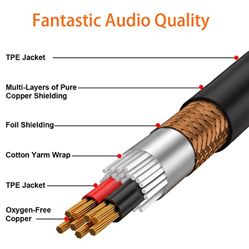 tisino XLR to 3.5mm Microphone Cable, XLR Female to 1/8 inch Mic Cord for Camcorders, DSLR Cameras, Computer Recording Device, and More - 3.3 feet