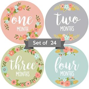 baby monthly stickers | floral baby milestone stickers | newborn girl stickers | month stickers for baby girl | baby girl stickers | newborn monthly milestone stickers (set of 24)