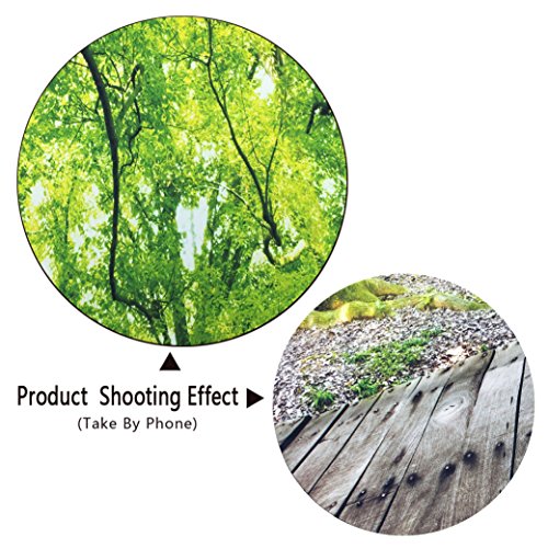 Dudaacvt Enchanted Forest Backdrop 5x7ft Trees Path Wood Floor Rain Photo Background Vinyl Shoot Studio Props for Party Pictures Q007