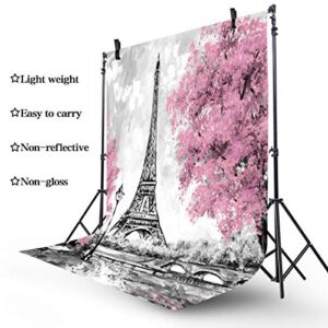 Riyidecor Eiffel Tower Backdrop Fabric Polyester Gray Paris Photography Background Pink Black and White Scenic 5Wx7H Feet Decoration Celebration Props Party Photo Shoot Backdrop Blush RY-PKKE