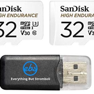 SanDisk High Endurance 32GB MicroSDHC Memory Card (2 Pack) for Dash Cams & Home Security System Cameras (SDSQQNR-032G-GN6IA) Class 10 Bundle with (1) Everything But Stromboli MicroSD Card Reader