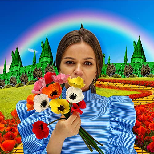 16 Pcs Yellow Brick Road Runner Yellow Brick Road Backdrop Emerald Castle Backdrop Floral Rainbow Photography Background Artificial Red Orange PU Poppy Anemones Princess Decor