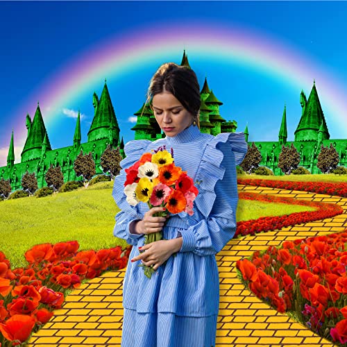 16 Pcs Yellow Brick Road Runner Yellow Brick Road Backdrop Emerald Castle Backdrop Floral Rainbow Photography Background Artificial Red Orange PU Poppy Anemones Princess Decor