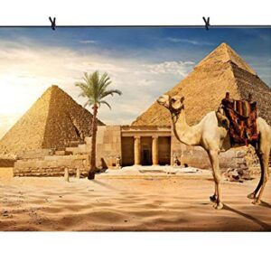 LYLYCTY 7x5ft Pyramid Backdrop Ancient Civilization Country Egypt Pyramid Camel Photography Backdrop Photo Photography Background Props Studio Indoor Decorations LY102