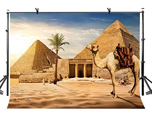 LYLYCTY 7x5ft Pyramid Backdrop Ancient Civilization Country Egypt Pyramid Camel Photography Backdrop Photo Photography Background Props Studio Indoor Decorations LY102