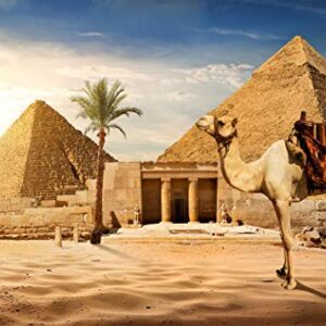 LYLYCTY 7x5ft Pyramid Backdrop Ancient Civilization Country Egypt Pyramid Camel Photography Backdrop Photo Photography Background Props Studio Indoor Decorations LY102