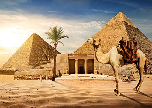 LYLYCTY 7x5ft Pyramid Backdrop Ancient Civilization Country Egypt Pyramid Camel Photography Backdrop Photo Photography Background Props Studio Indoor Decorations LY102