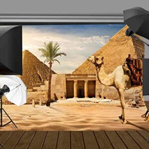 LYLYCTY 7x5ft Pyramid Backdrop Ancient Civilization Country Egypt Pyramid Camel Photography Backdrop Photo Photography Background Props Studio Indoor Decorations LY102