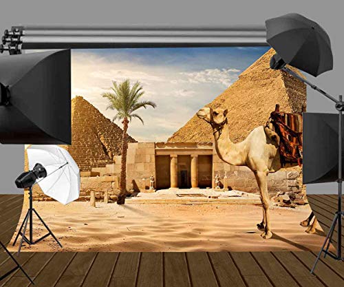 LYLYCTY 7x5ft Pyramid Backdrop Ancient Civilization Country Egypt Pyramid Camel Photography Backdrop Photo Photography Background Props Studio Indoor Decorations LY102