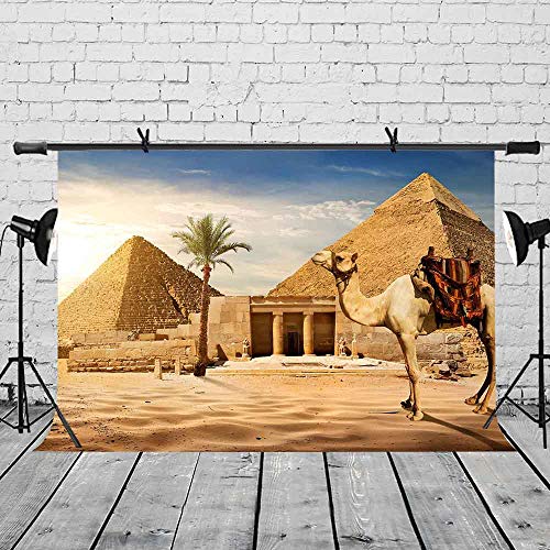 LYLYCTY 7x5ft Pyramid Backdrop Ancient Civilization Country Egypt Pyramid Camel Photography Backdrop Photo Photography Background Props Studio Indoor Decorations LY102