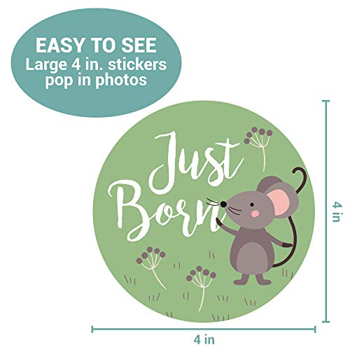 Baby Monthly Stickers | Woodland Creatures Baby Milestone Stickers | Newborn Boy or Girl Animal Stickers | Month Stickers for Baby Boy | Gender Neutral | Unisex Monthly Milestone Stickers (Set of 24)