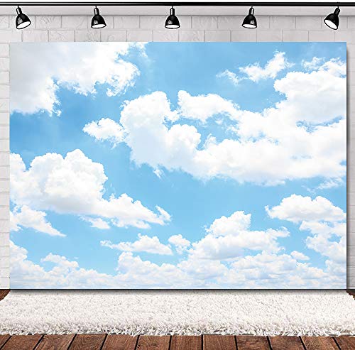 SVBright 7(W) x 5(H) ft Polyester Fabric Blue Sky White Clouds Backdrop Party Wall Decorations Sunshine 1ST Newborn Baby Shower Birthday Table Banner Photo Booth Photography Background Photo Studio