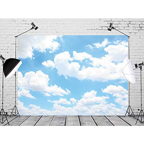 SVBright 7(W) x 5(H) ft Polyester Fabric Blue Sky White Clouds Backdrop Party Wall Decorations Sunshine 1ST Newborn Baby Shower Birthday Table Banner Photo Booth Photography Background Photo Studio