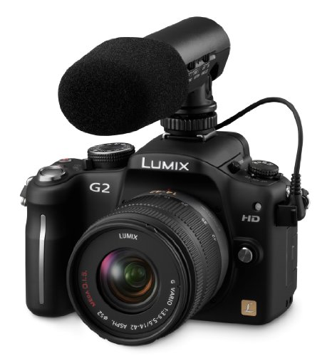 Panasonic Lumix DMC-G2 12.1 MP Live MOS Mirrorless Digital Camera with 3-Inch Touch Screen LCD and 14-42mm Lumix G VARIO f/3.5-5.6 MEGA OIS Lens (Black)