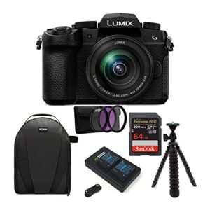 panasonic lumix g95 20.3mp mirrorless camera with 12-60mm f/3.5-5.6 mft lens bundle with 64gb sdxc memory card, sling camera bag, battery (2-pack) and dual charger, tripod, and filter kit (6 items)