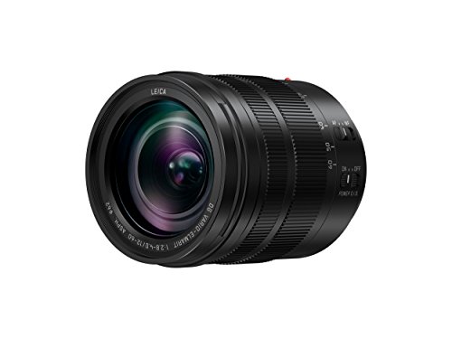 Panasonic DC-G9LK LUMIX G9 Mirrorless Camera, 20.3 Megapixels plus 80 Megapixel High-Resolution Mode with LEICA VARIO-Elmarit 12-60mm F2.8-4.0 Lens, 3", Black