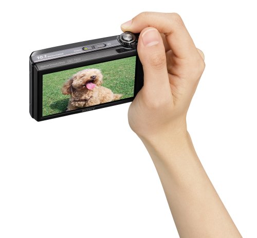 Sony Cybershot DSC-T500 10.1MP Digital Camera with 5x Optical Zoom with Super Steady Shot Image Stabilization