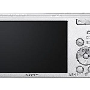 Sony Cyber-Shot DSC-W830 (Silver) (International Model)