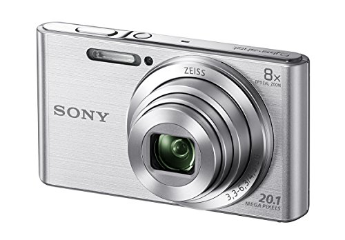 Sony Cyber-Shot DSC-W830 (Silver) (International Model)