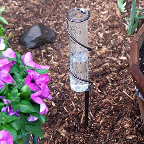 La Crosse 704-08967-INT Original Handcrafted Colombian Metal Finish Spiral Rain Gauge with 5-inch Capacity Glass Rain Garden Tube