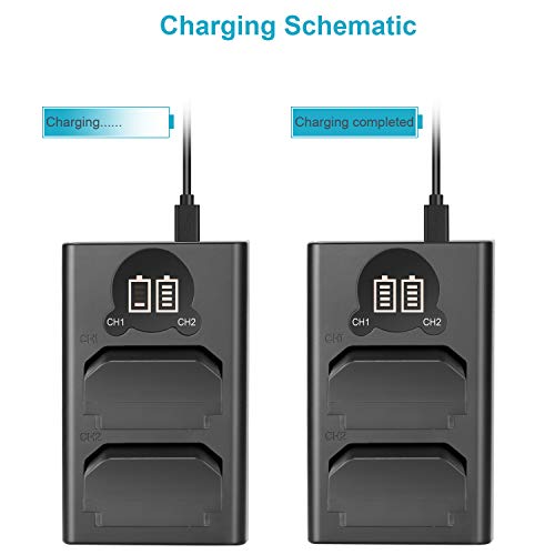 NEEWER NP-FZ100 2280mAh Replacement Battery and Charger with LCD Screen, 2 Packs, Compatible with Sony ZV-E1, FX3, FX30, A1, A9 II, A7R III, A7R IV, A7R V, A7S III, A7 III, A7 IV, A6600, A7C Cameras