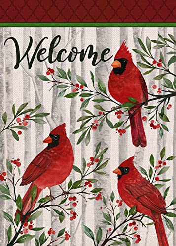 Dyrenson Welcome Winter Cardinals Red Birds Berries Decorative Garden Flag, Snowy Forest Farmhouse Yard Outside Decorations Outdoor Small Decor 12x18