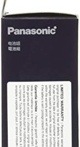 Panasonic DMW-BLG10 Lithium-Ion Battery Pack (Black)