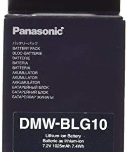 Panasonic DMW-BLG10 Lithium-Ion Battery Pack (Black)