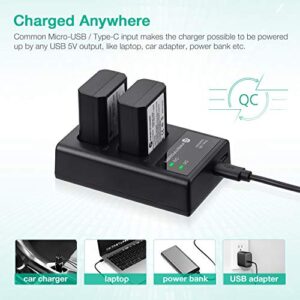 FirstPower NP-FW50 Battery 2-Pack and USB Dual Charger Compatible with Sony A6000 A6300 A6400 A6500 A7 A7II A7RII A7SII A7S A7S2 A7R A7R2 A5100 A5000 RX10 RX10II III Cameras