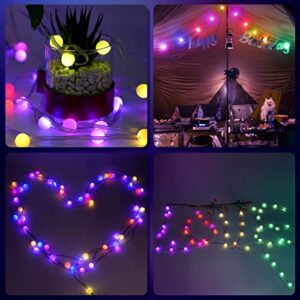 Color Changing Globe String Lights,16.4Ft 50 LED Waterproof Colorful Ball Fairy Lights with RF Remote & APP, 5V USB RGB Music Sync Twinkle Ball Lights for Garden Camping Dinner Wedding Birthday Party