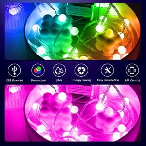 Color Changing Globe String Lights,16.4Ft 50 LED Waterproof Colorful Ball Fairy Lights with RF Remote & APP, 5V USB RGB Music Sync Twinkle Ball Lights for Garden Camping Dinner Wedding Birthday Party