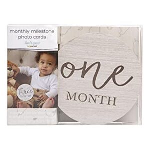 Little Pear Wooden Monthly Milestone Cards, Baby Milestone Photo Props, Wooden Monthly Photo Prop Cards