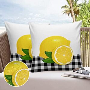 Vandarllin Outdoor Throw Pillows Covers 18X18 Set of 2 Waterproof Lemon Summer Fruit Decorative Zippered Lumbar Cushion Covers for Patio Furniture, Black White Buffalo Check Plaid